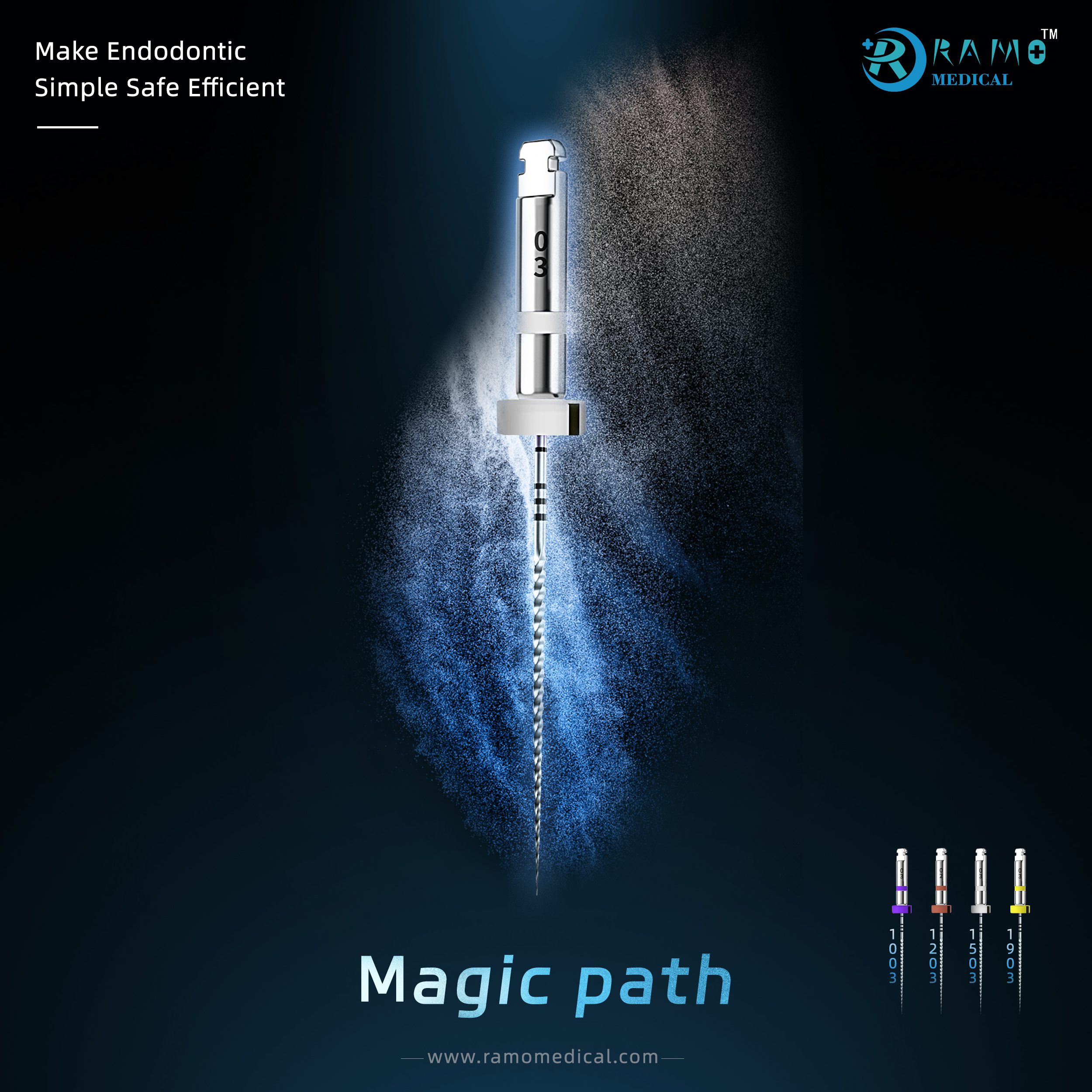 LIMAS RAMOMEDICAL RCS Magic Path 1302-1602-1902 25mm blister 6 limas ...